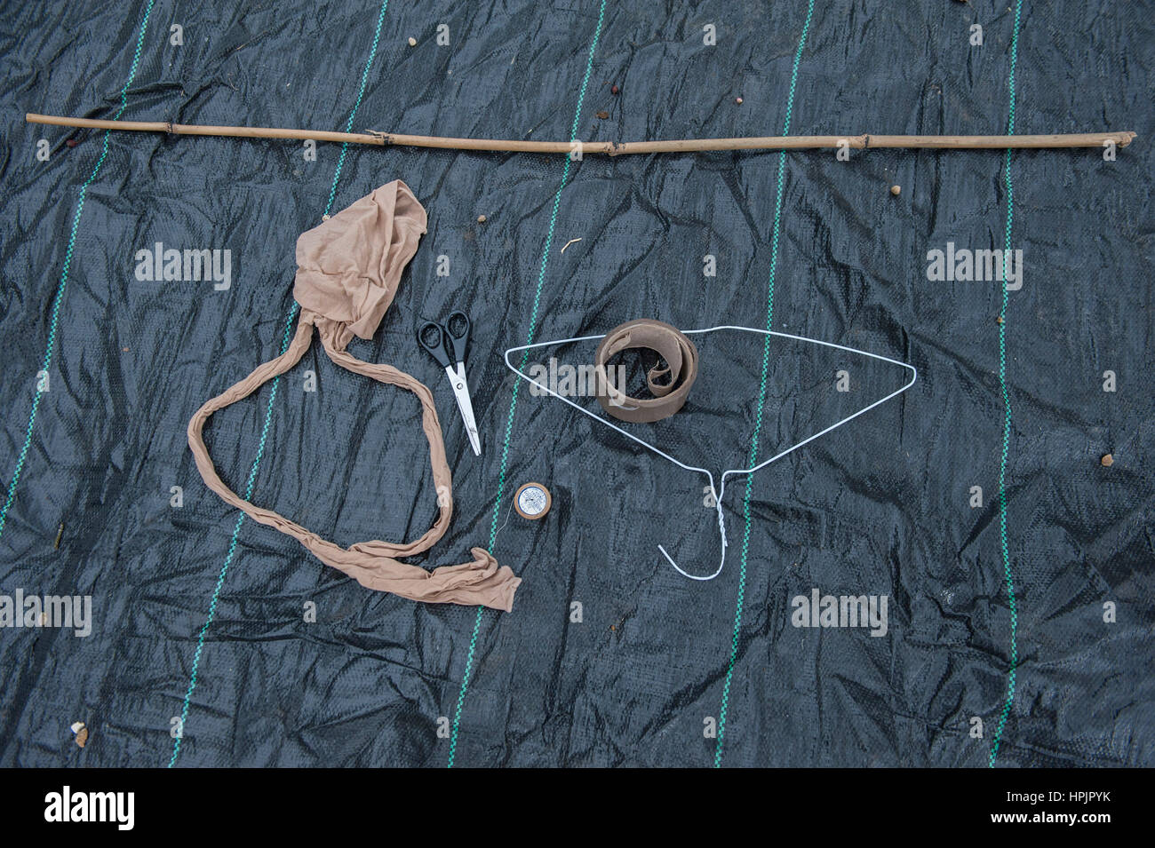 Primary school kids making a pond dipping net out of a womans stocking ...