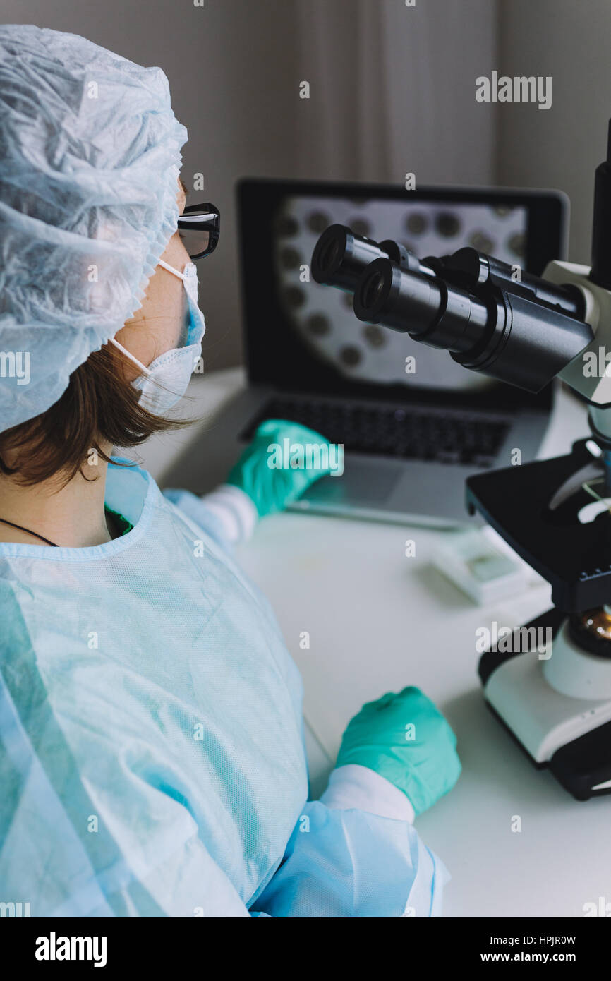 Back view of female scientist working on laptop in laboratory Stock ...
