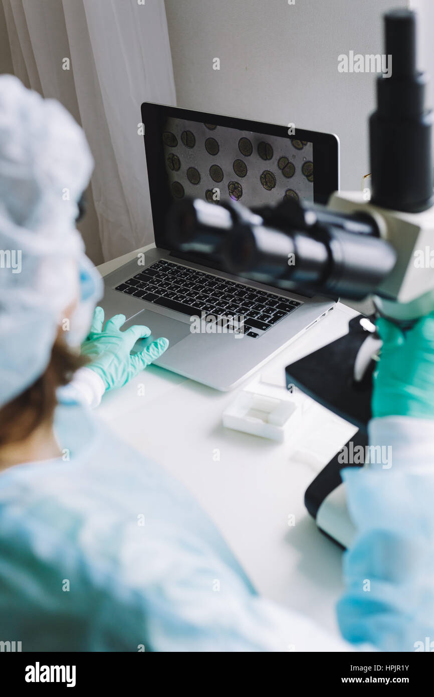 Back view of female scientist working on laptop in laboratory Stock ...