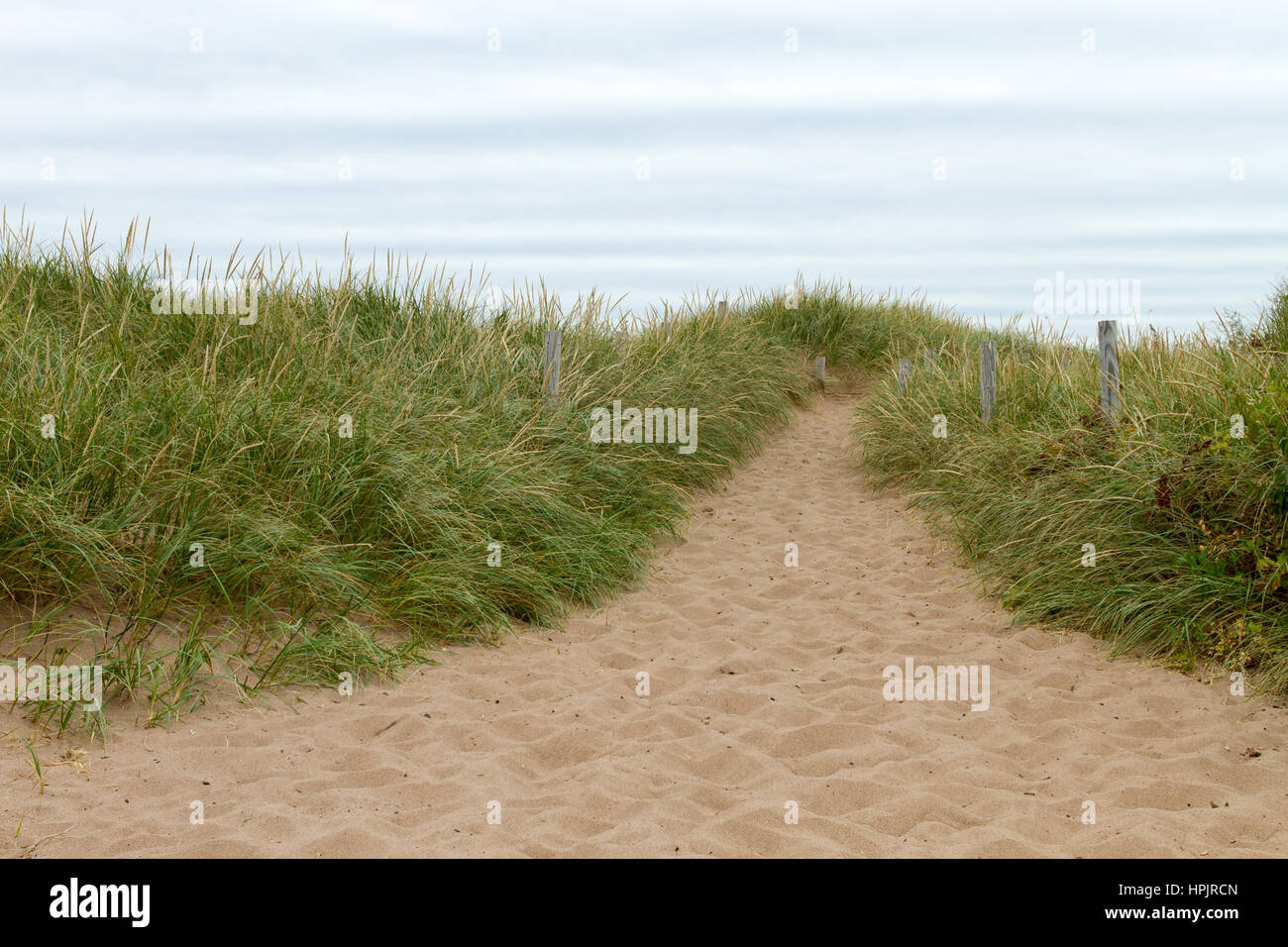 Path through sand dunes beach hi-res stock photography and images - Alamy
