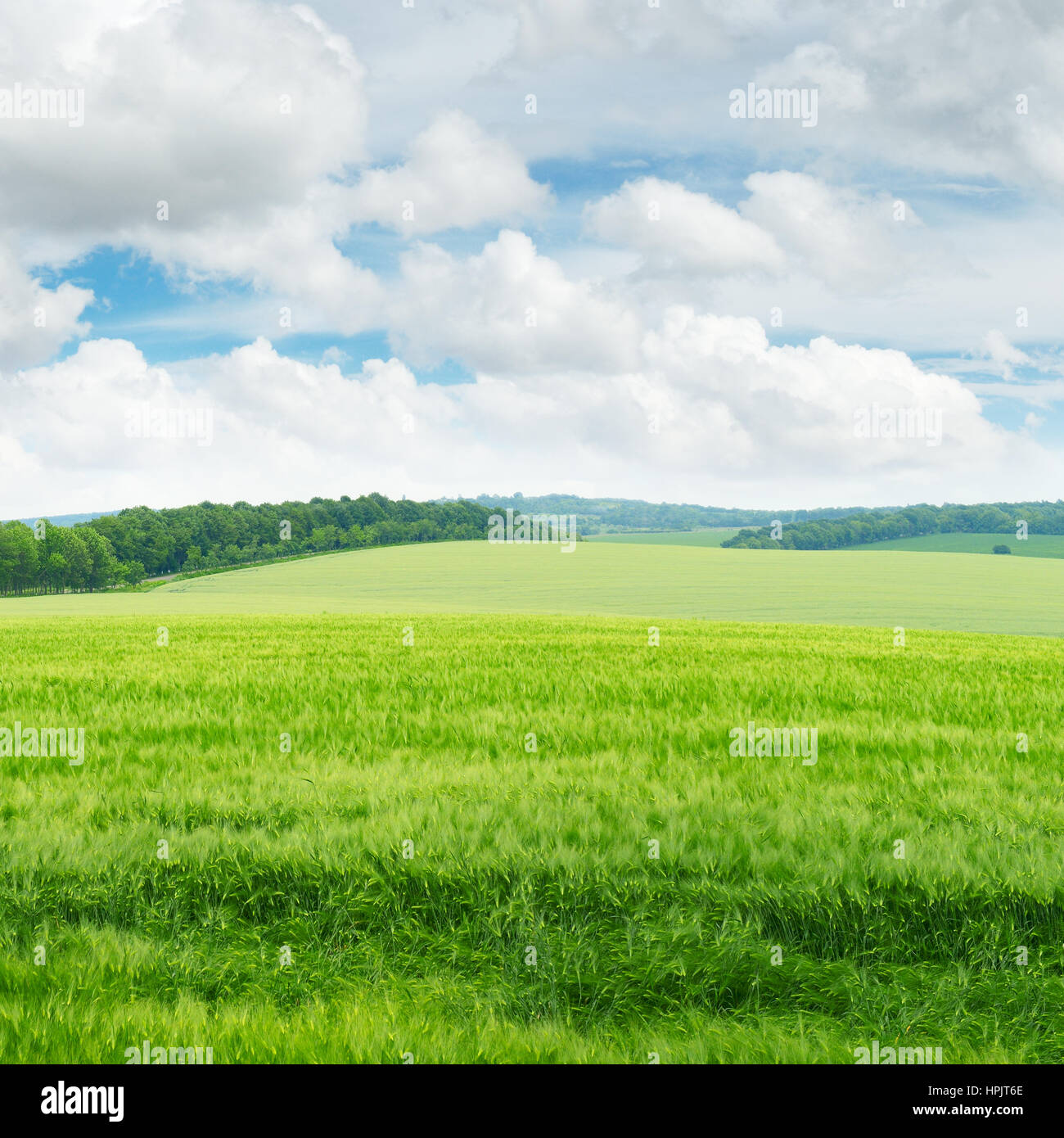 green field and blue sky Stock Photo - Alamy