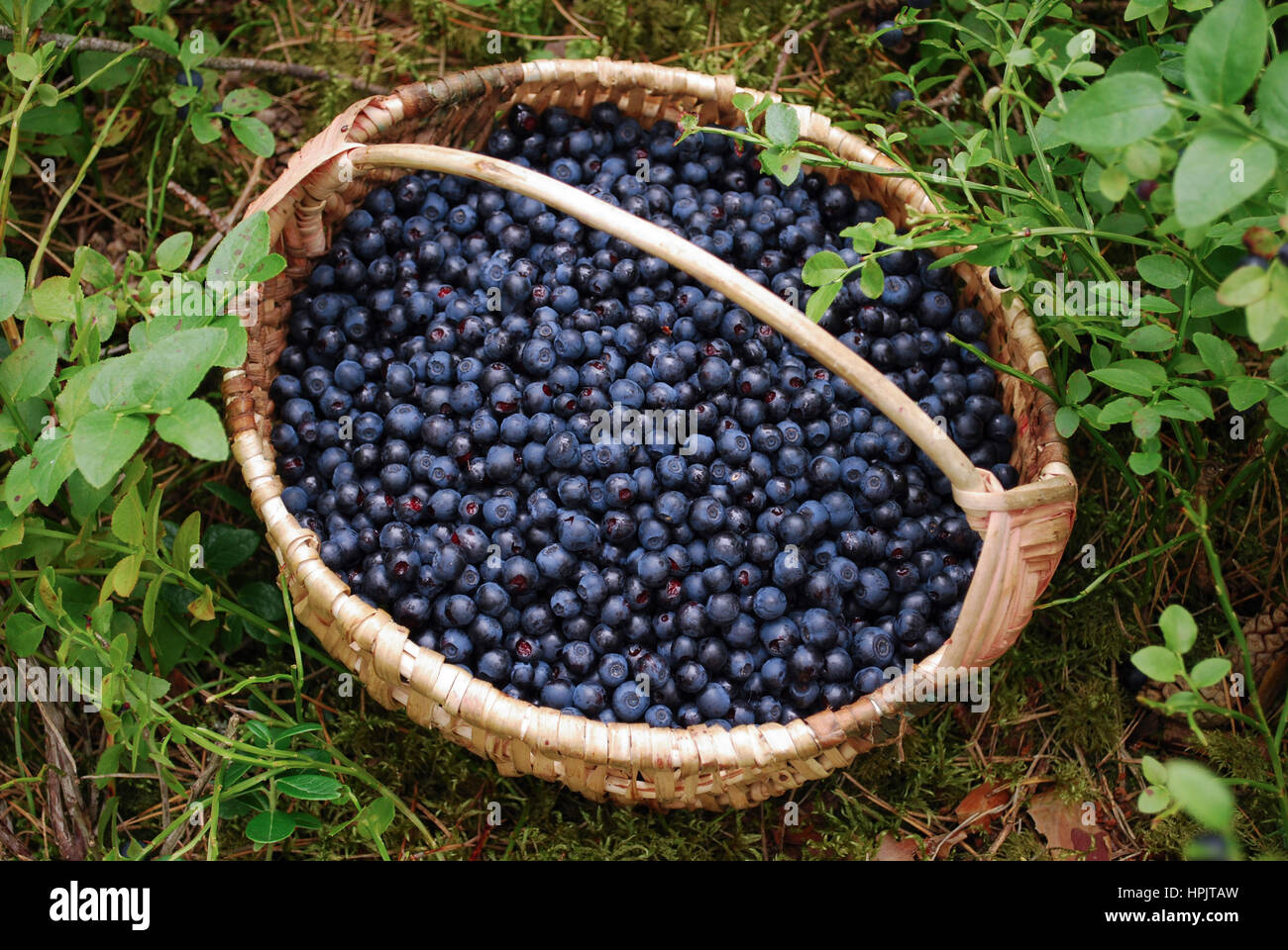 Rod basket hi-res stock photography and images - Alamy