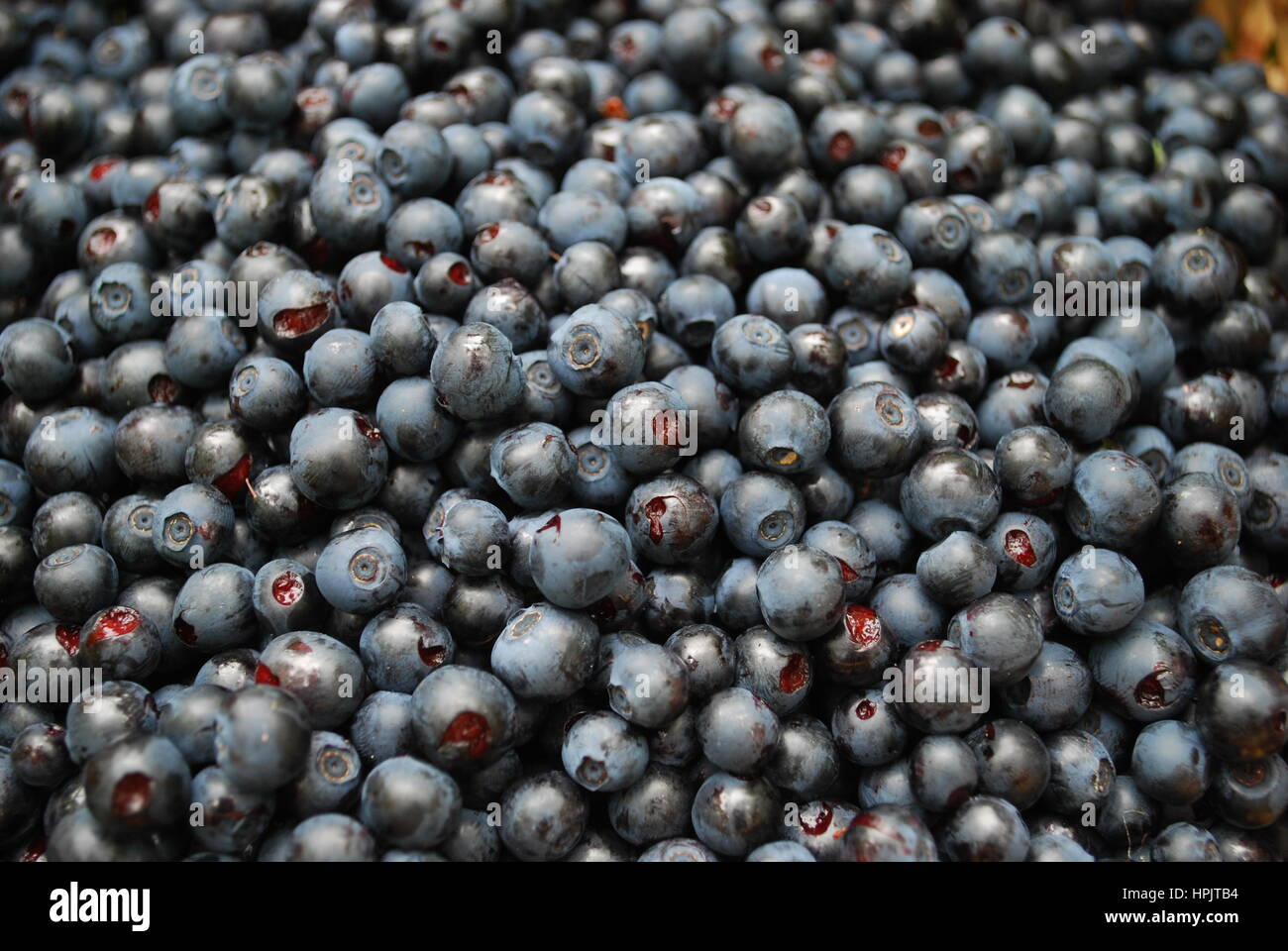 Blue and violet background hi-res stock photography and images - Alamy