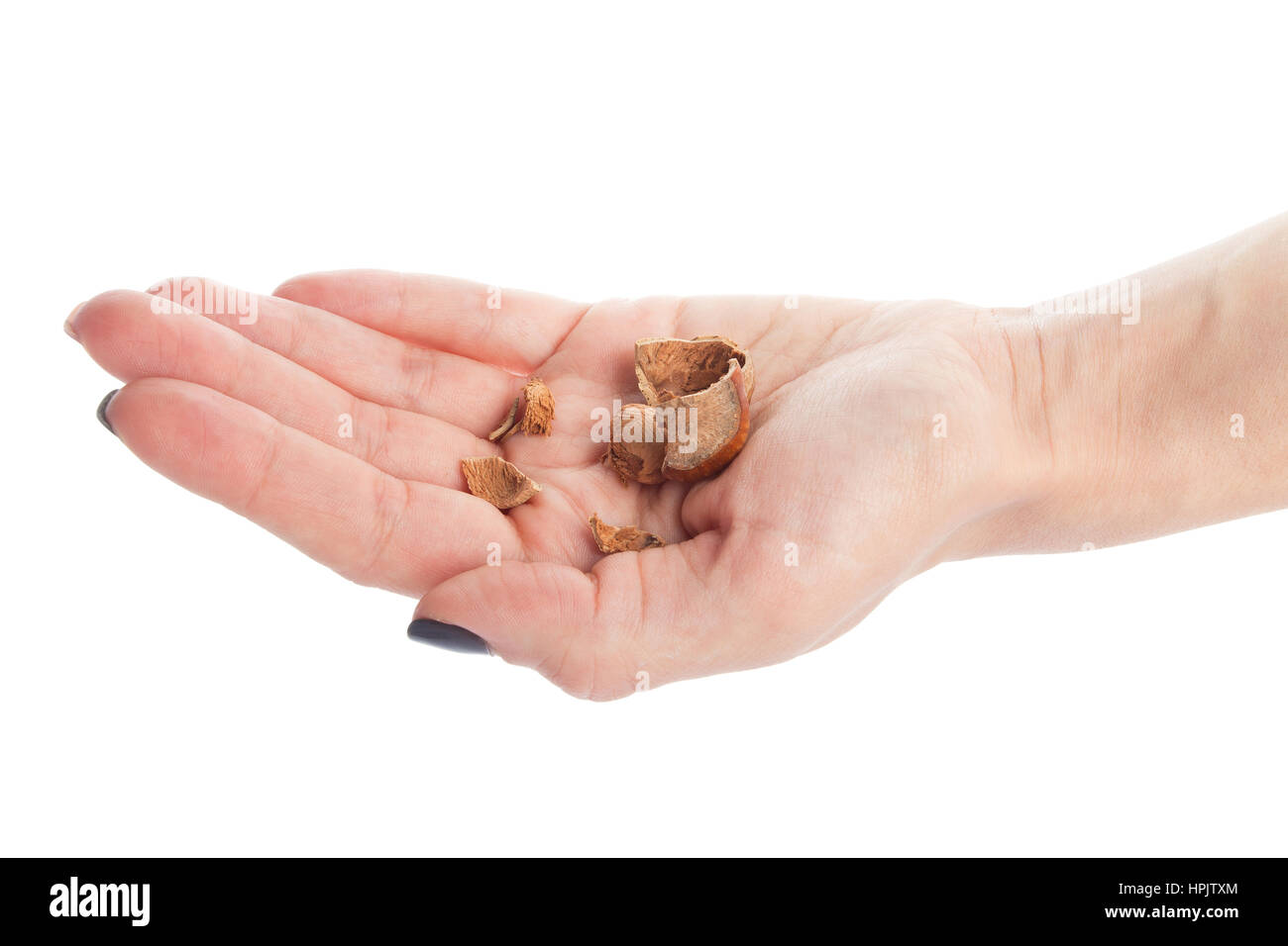 broken hazelnut nutshell in hand isolated on white background Stock ...