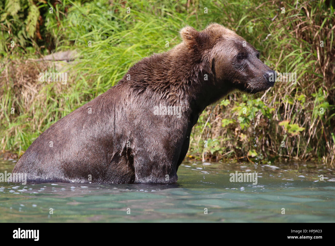 Wet face hi-res stock photography and images - Alamy