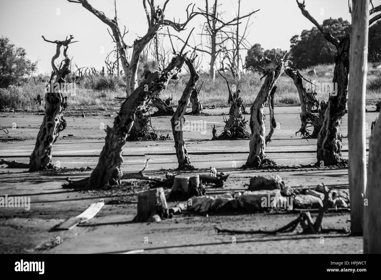 Submerged City of Epecuen Stock Photo - Alamy