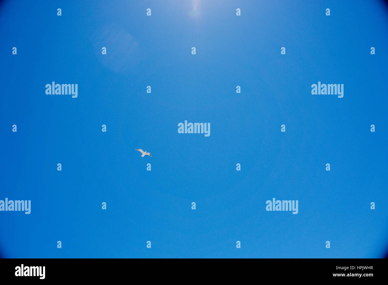 Shining sun clear blue hi-res stock photography and images - Alamy