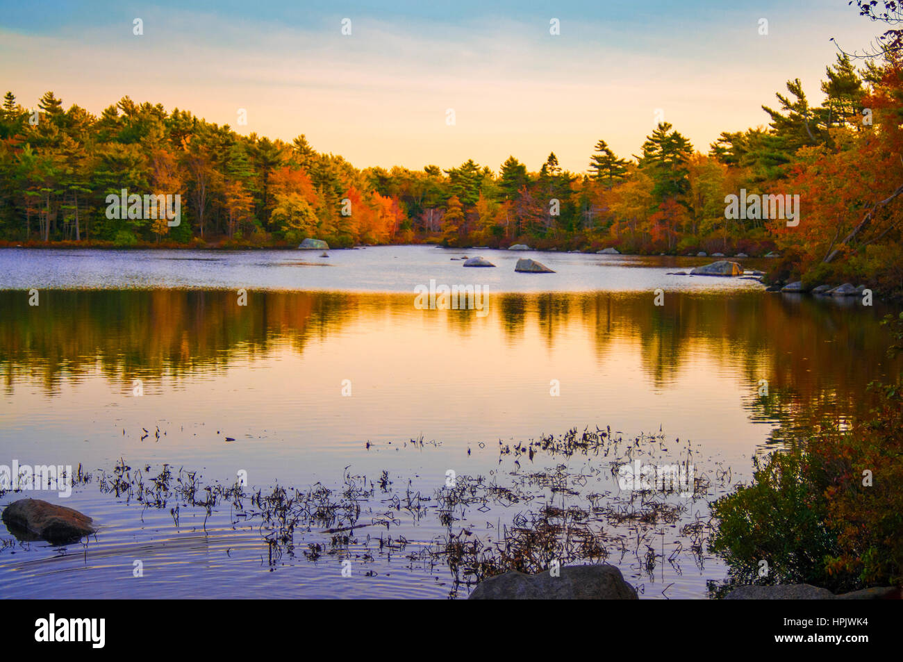 Forest and lake reflection in fall with rock beach, frog pond park ...