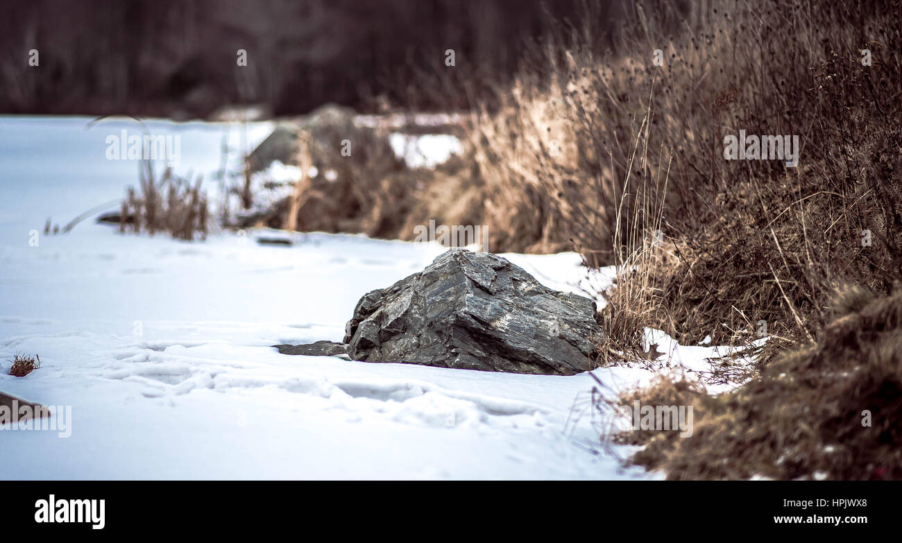 winter Albro lake covered by snow with withered grasses in Dartmouth ...