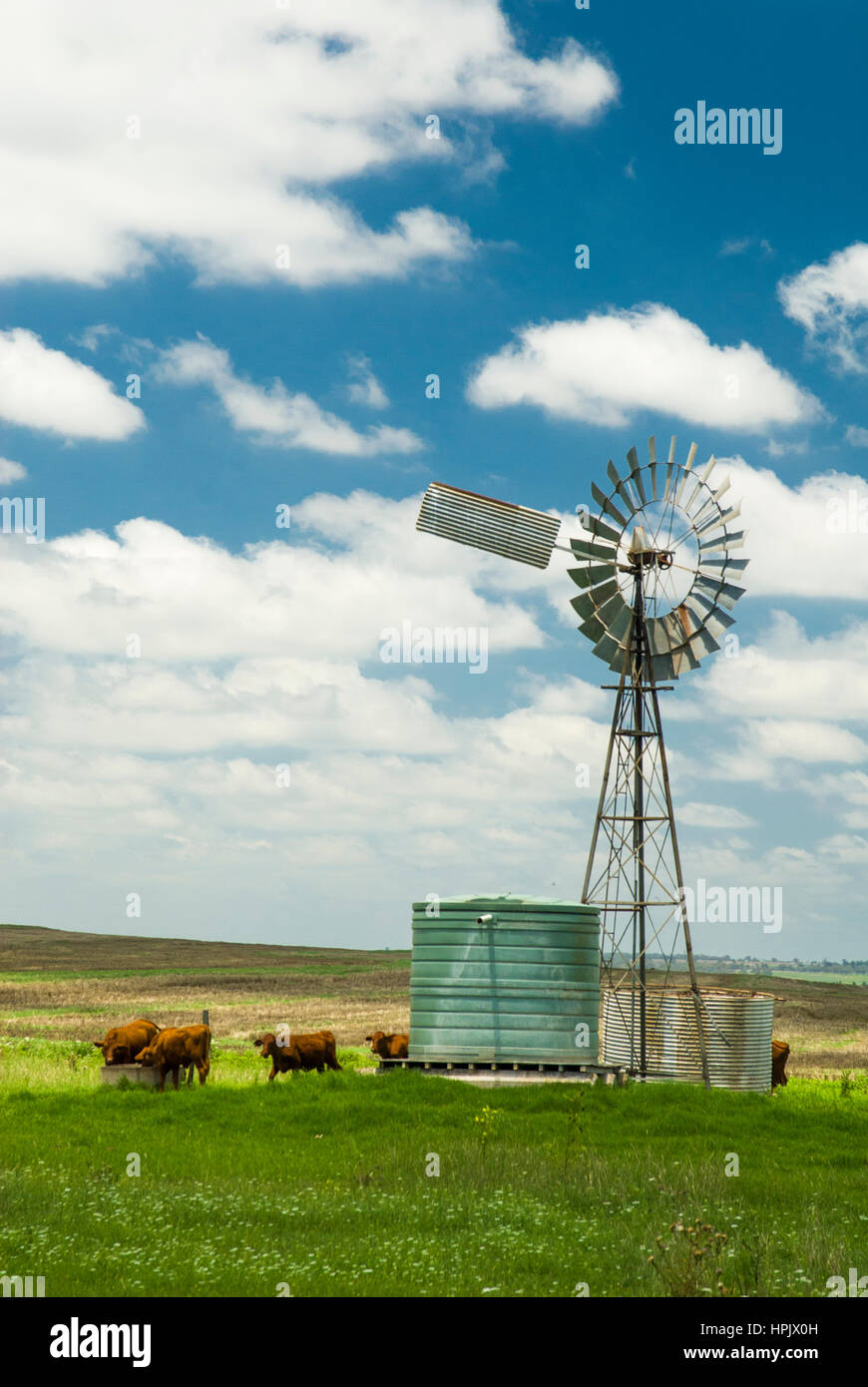 Windmill pump cattle water tank hi-res stock photography and images - Alamy