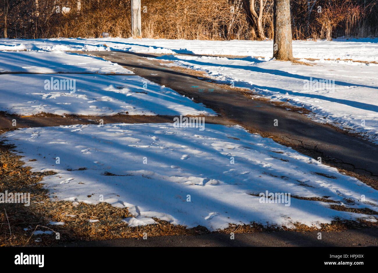 winter land snow ground with tree shadows landscape background Stock ...
