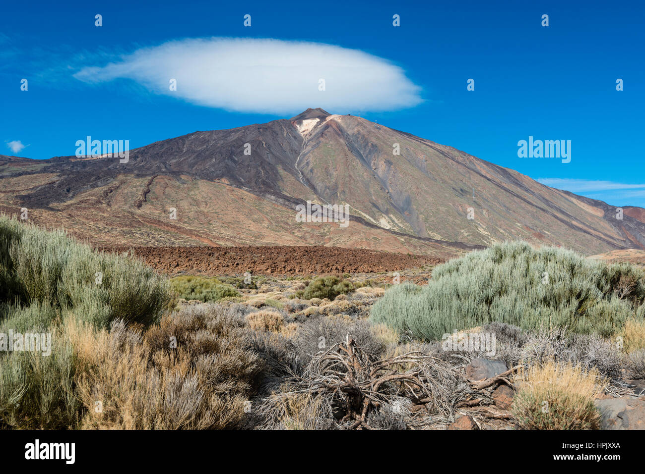 Teide volcano, Teide National Park, Canary Islands, Tenerife, Spain ...