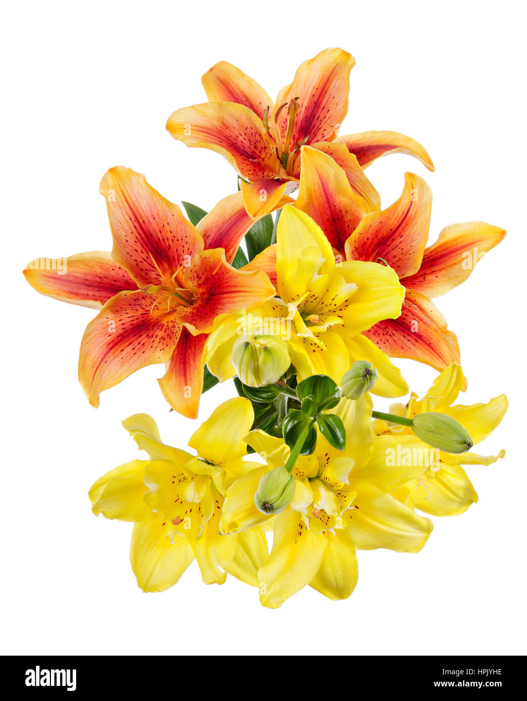 Flowers pattern with red and yellow lilies isolated on white background ...