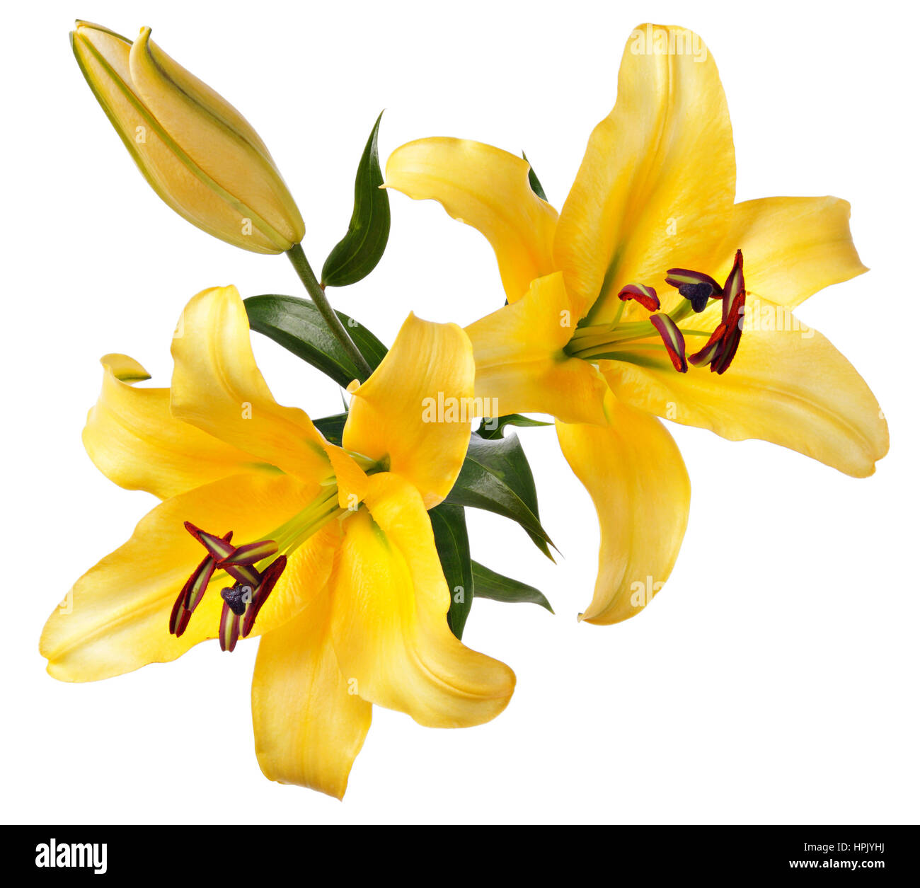 Flowers bouquet with lemon lilies isolated on white background Stock ...