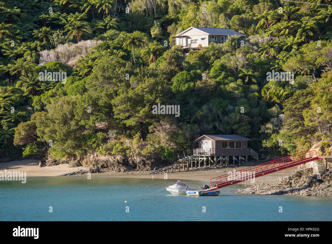 Te Mahia, Marlborough, New Zealand. The wooded shoreline of Te Mahia ...