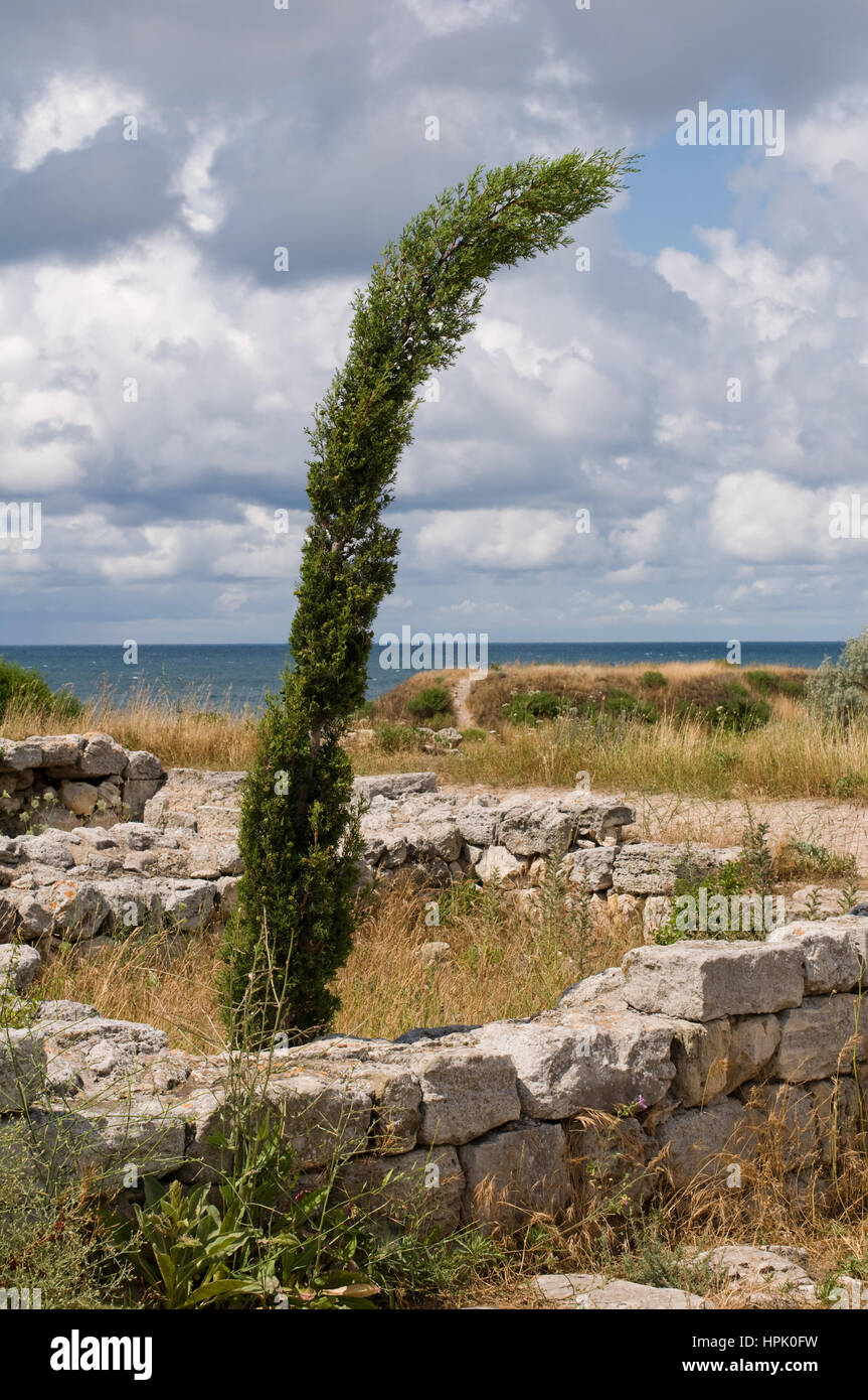 The remains of the ancient city of Chersonesus. Founded by the ancient ...