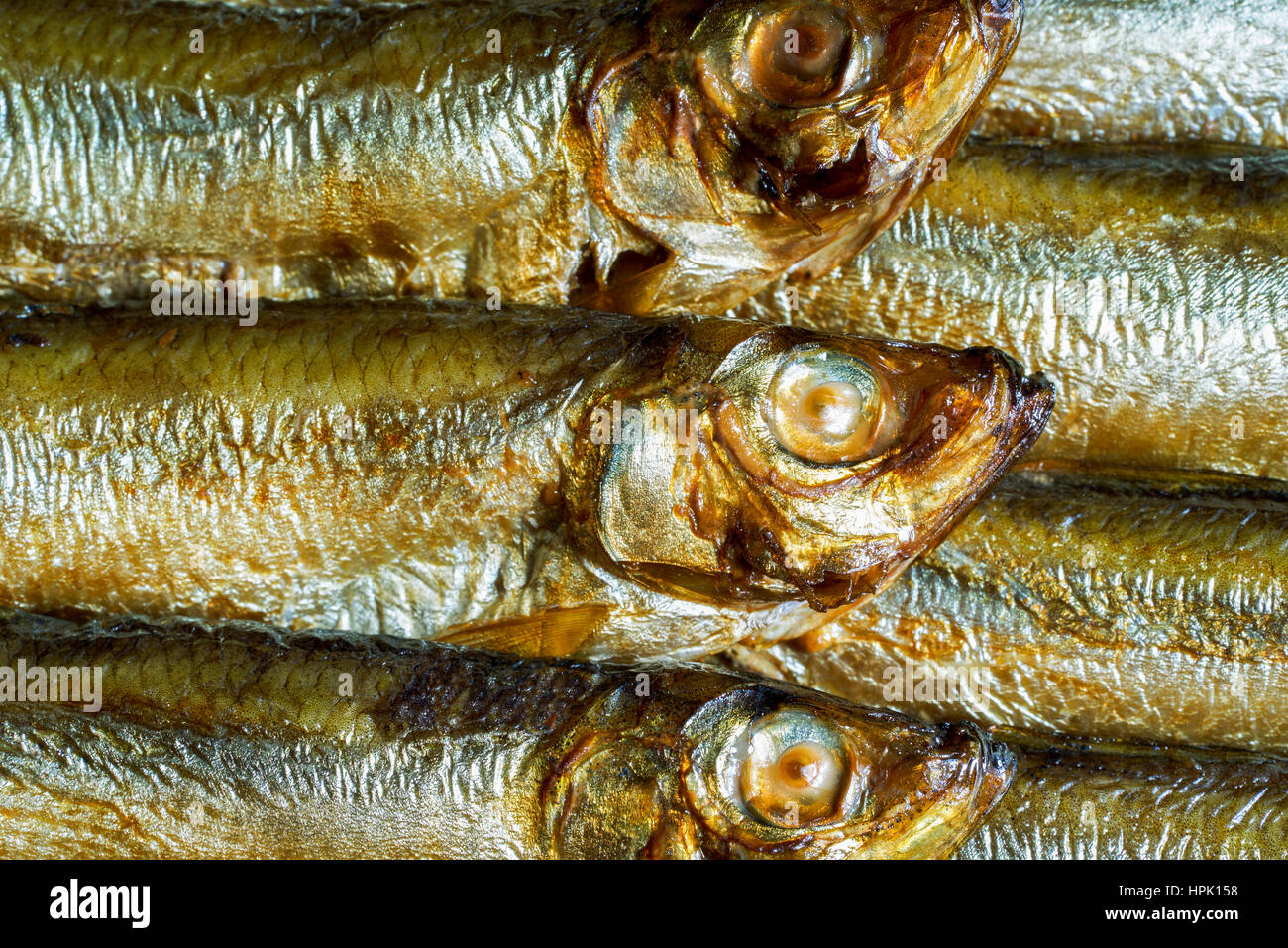 detail shot showing some fresh smoked sprats Stock Photo - Alamy