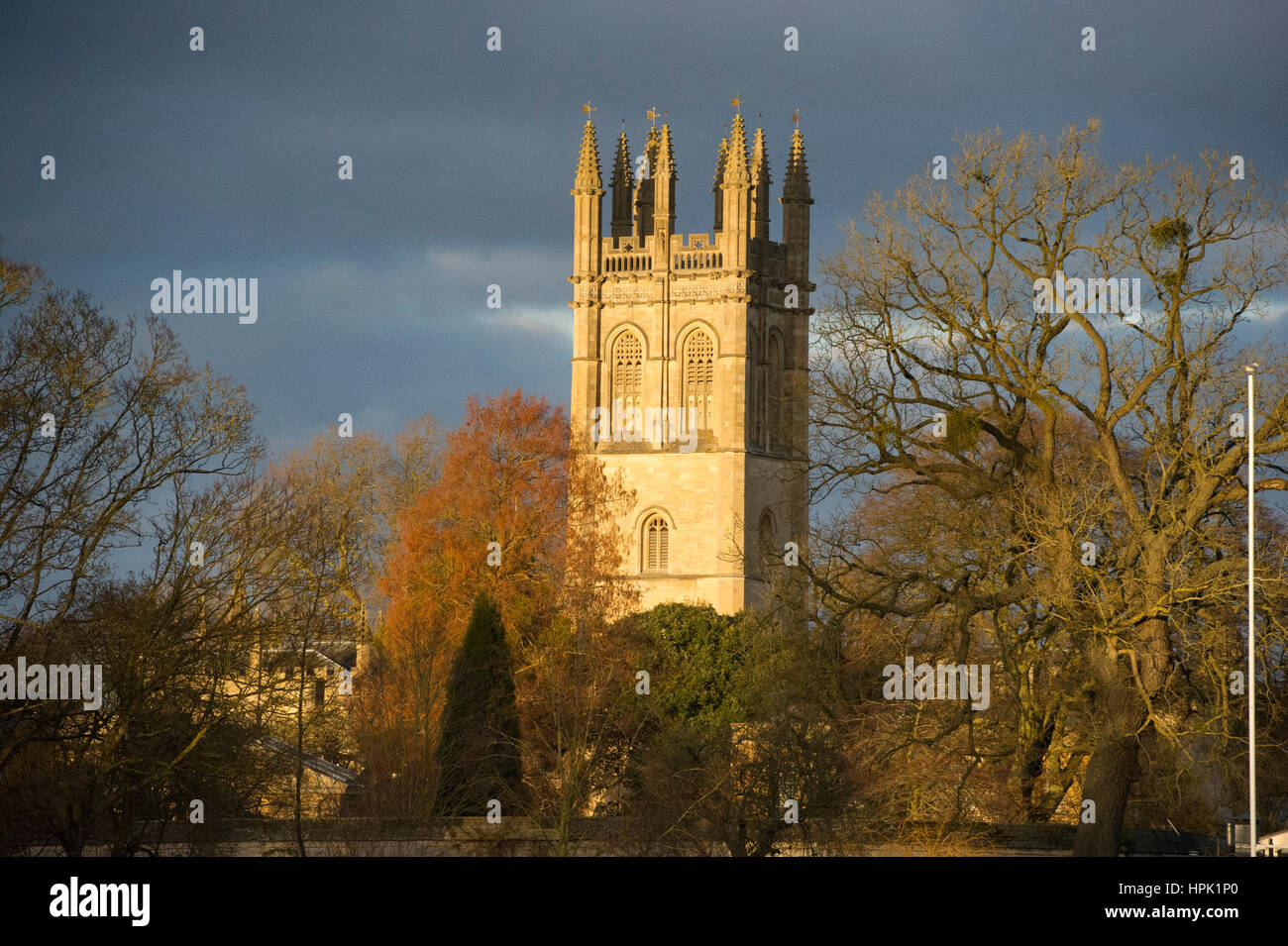 Magdalen College Tower in autumn evening light Stock Photo - Alamy