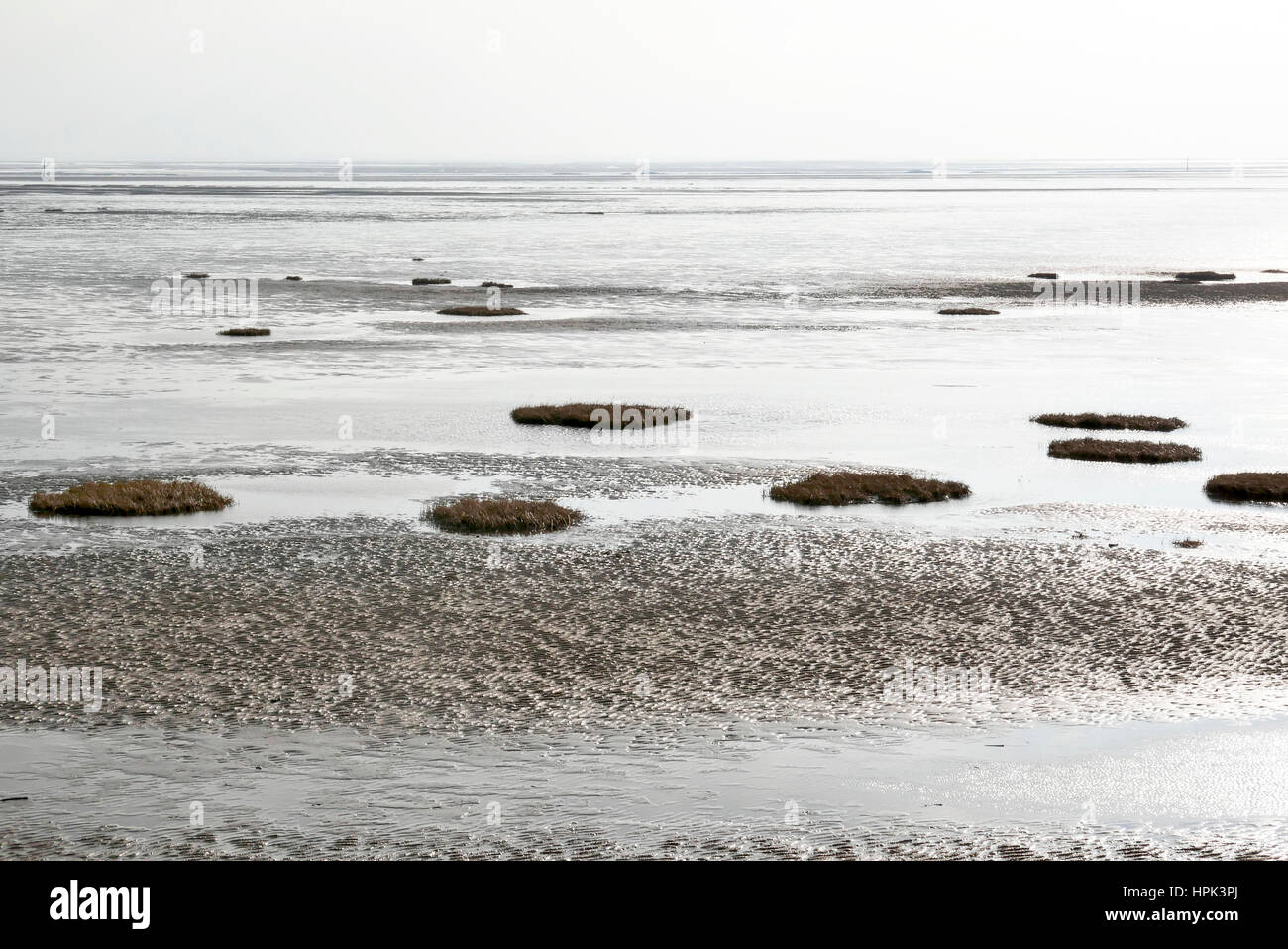 Marsh land on the River Ribble estuary Stock Photo - Alamy