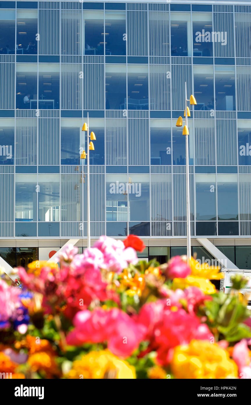 Modern office building with flowers in foreground Stock Photo - Alamy