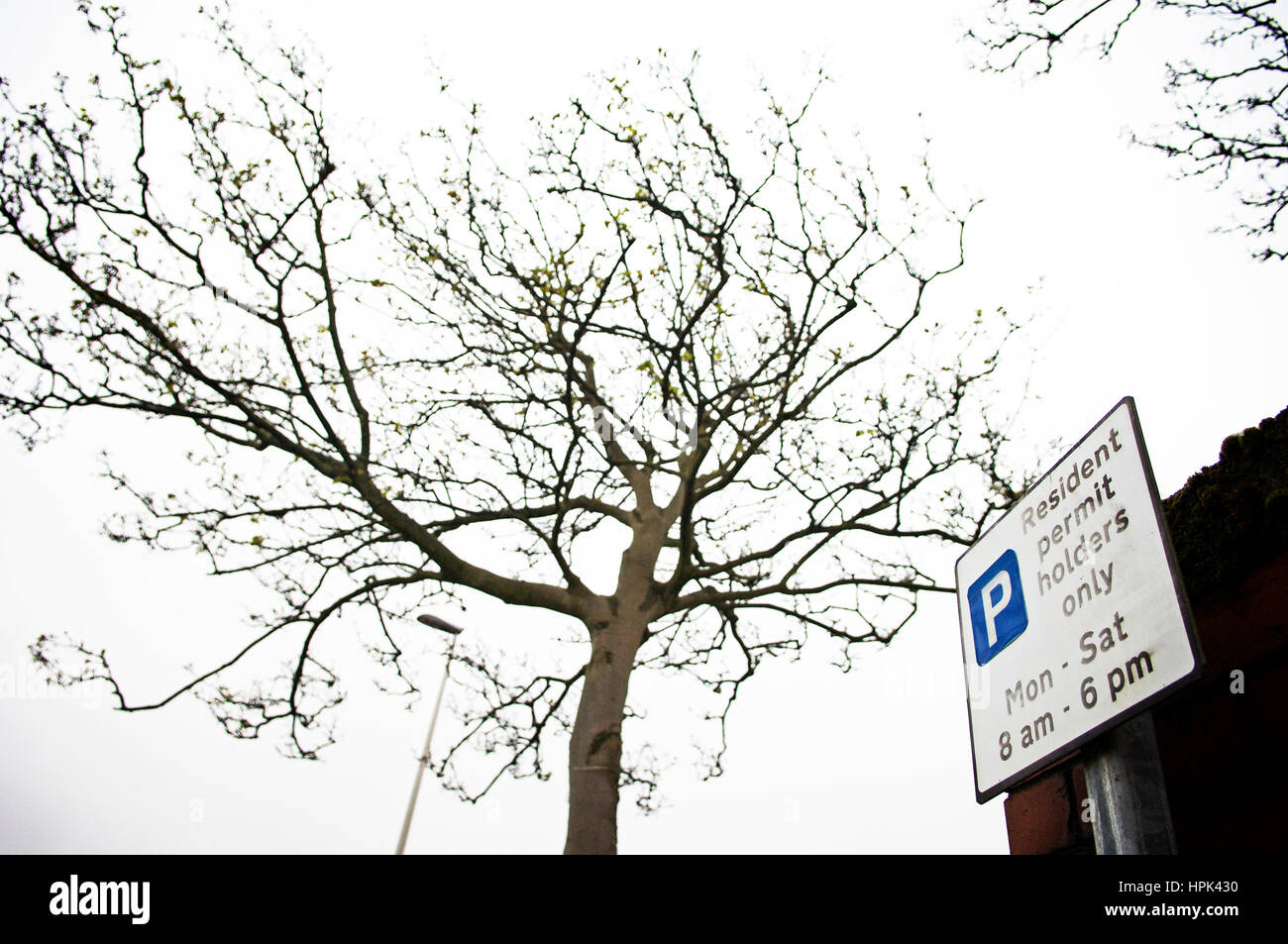 Parking permit hi-res stock photography and images - Alamy