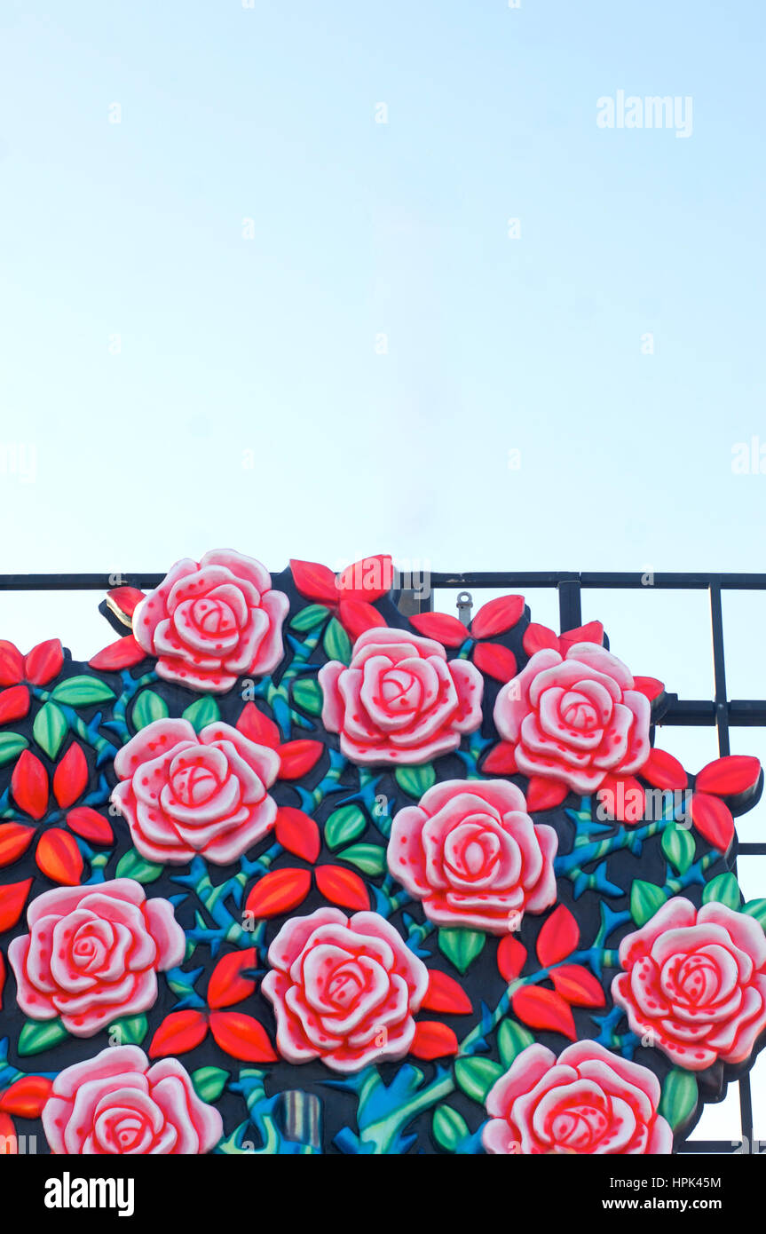 Red roses in plastic hi-res stock photography and images - Alamy