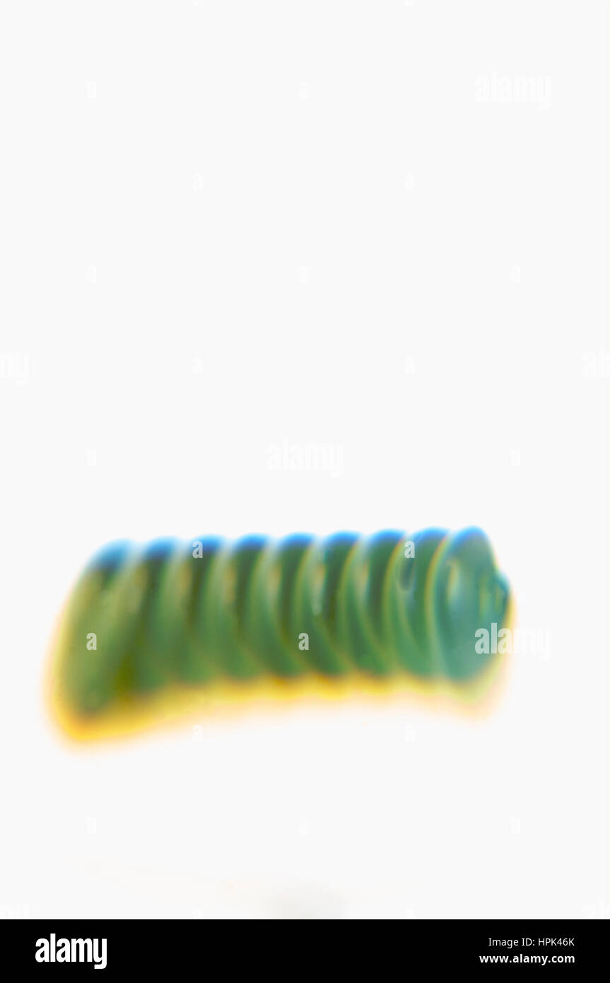 Distorted spring on white background Stock Photo - Alamy
