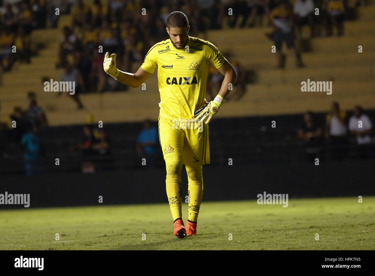 CRICIÚMA, SC - 22.02.2017: CRICIÚMA X ALTOS - Criciuma Edson goalkeeper ...