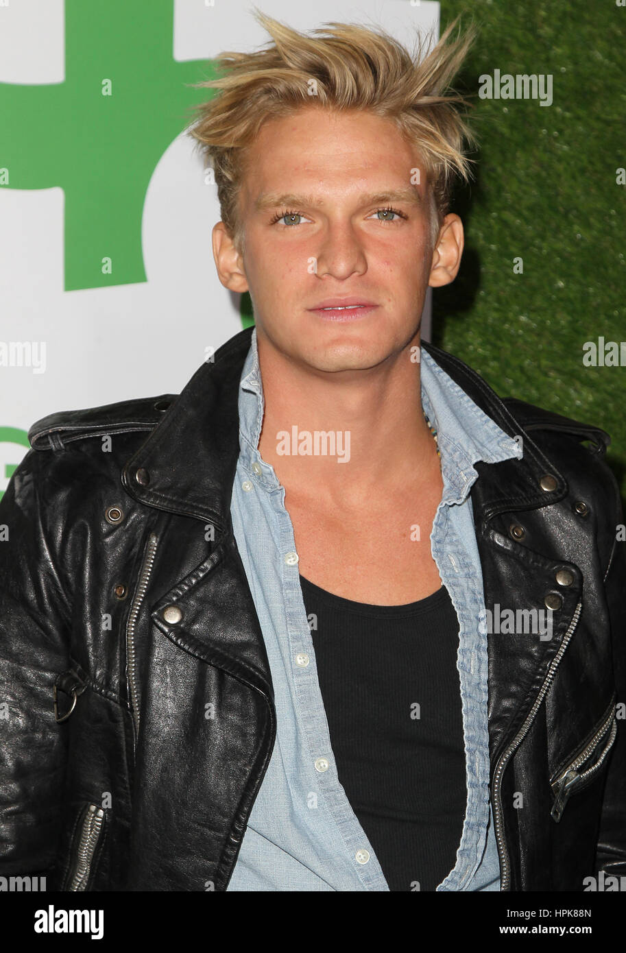 Hollywood, CA. 22nd Feb, 2017. Cody Simpson, At 14th Annual Global ...