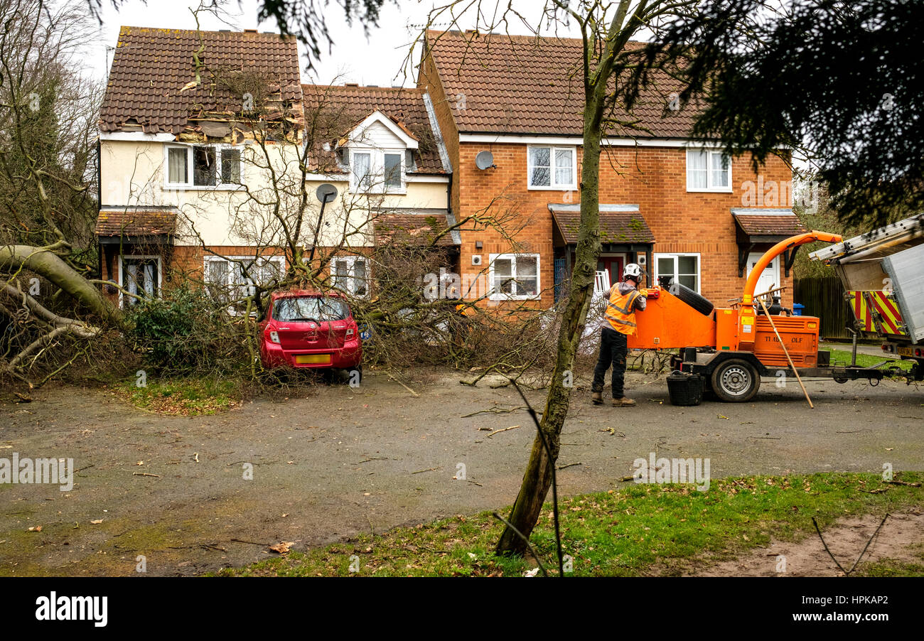 A large tree has fallen from wooded area onto house and car Stock Photo ...