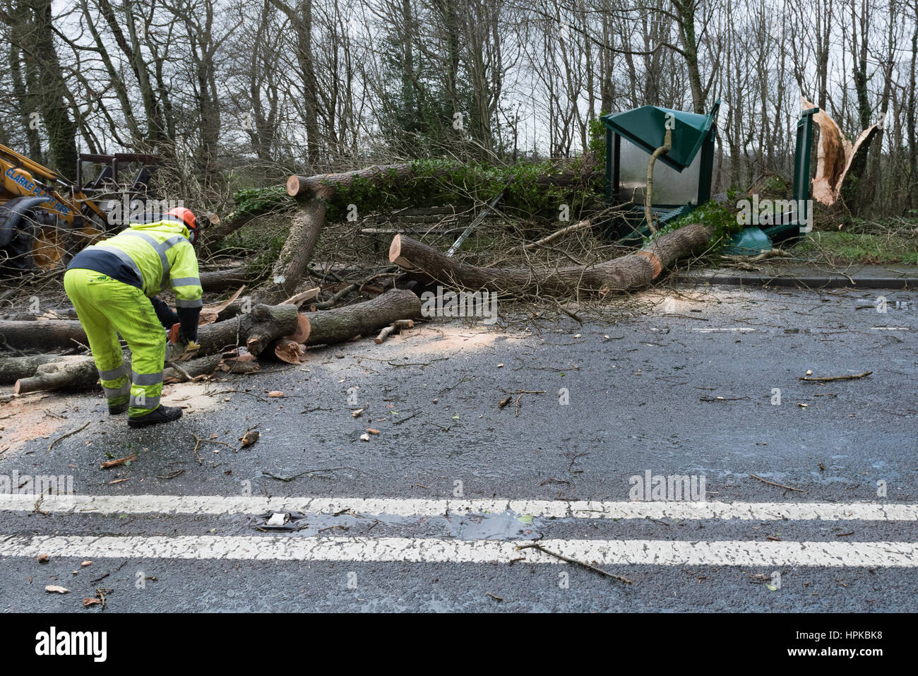 Wind blown tree crushes bus stop shelter during Storm Doris local ...