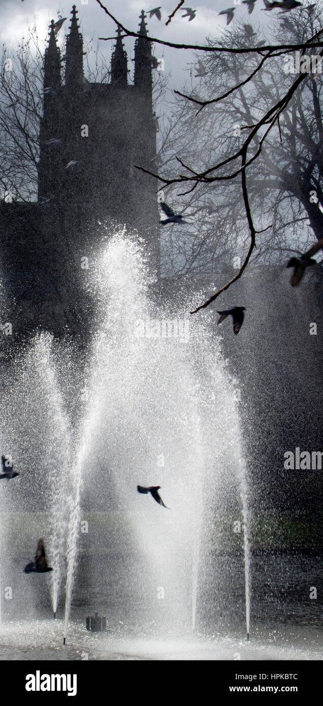 Extremely windy High Resolution Stock Photography and Images - Alamy