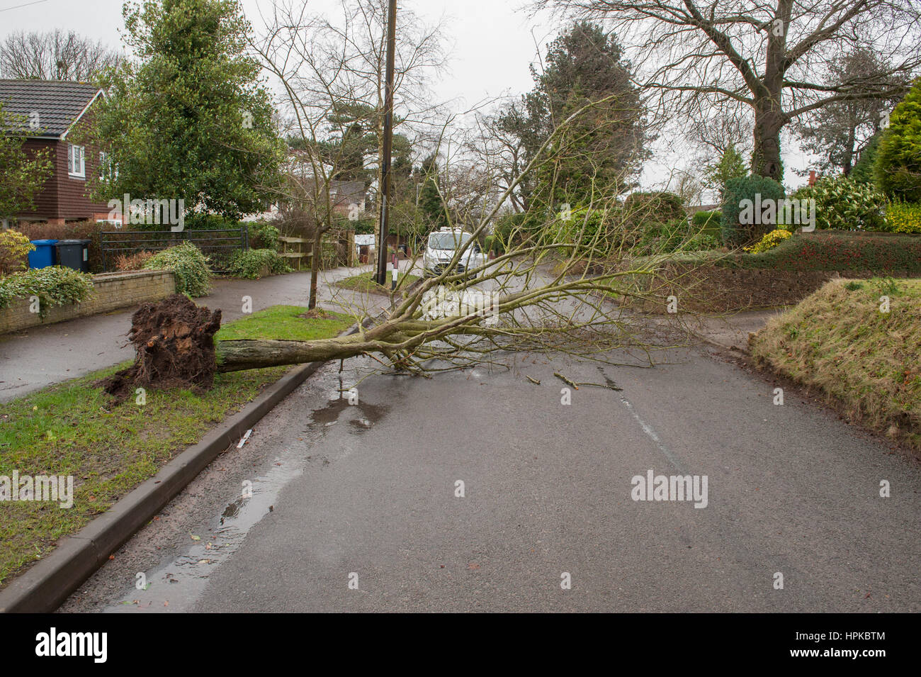 Staffordshire, West Midlands. 23rd Feb, 2017. UK Weather. Storm Doris ...