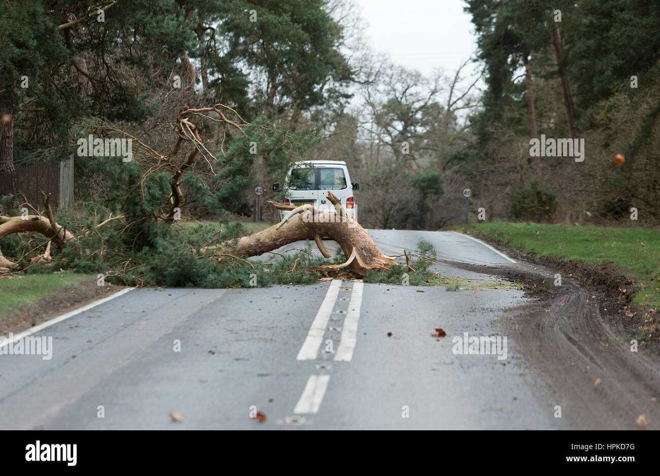 Barnham, UK. 23rd Feb, 2017. Motorists had a lucky escape as Storm ...