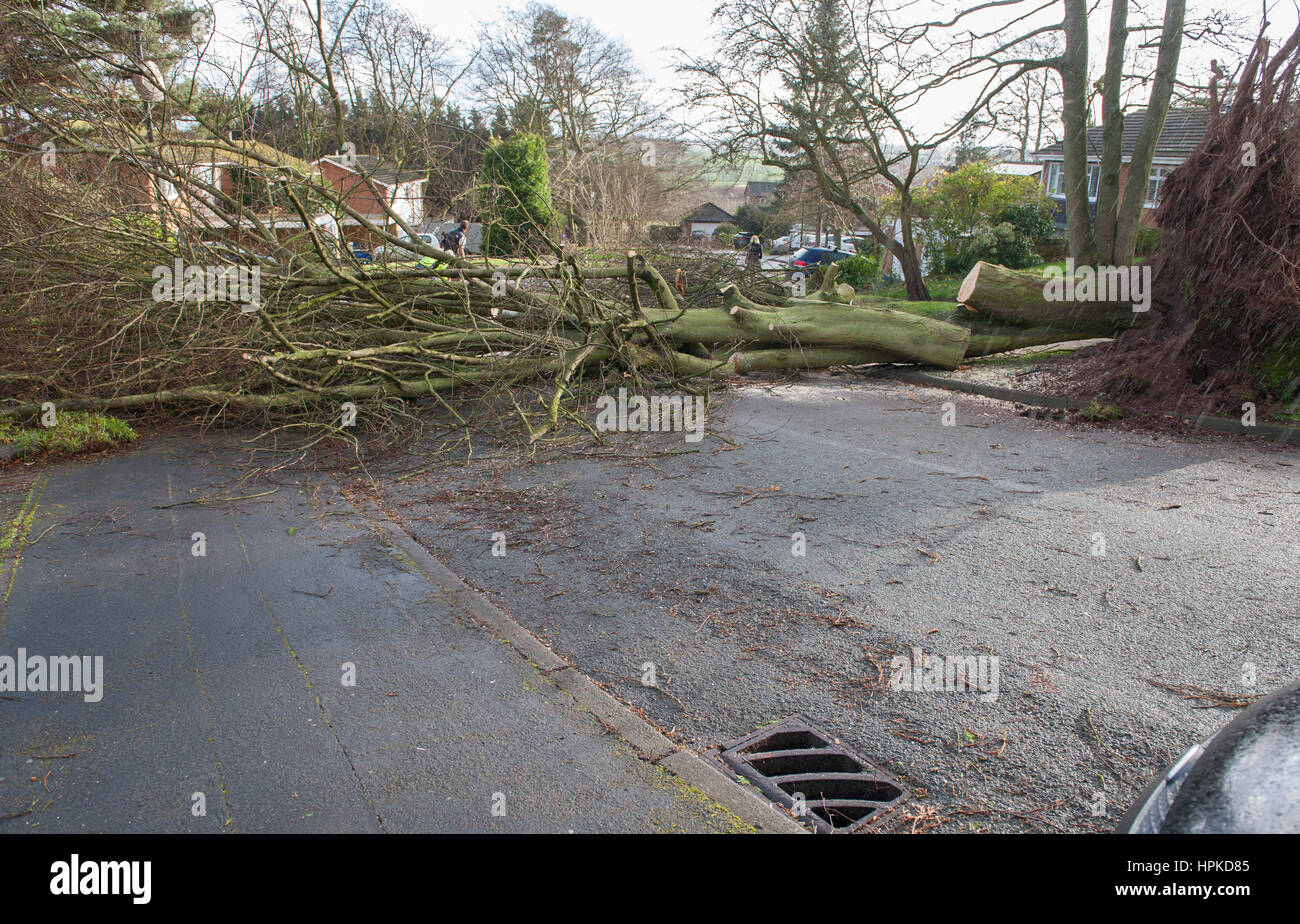 Obstruction of wind hi-res stock photography and images - Alamy