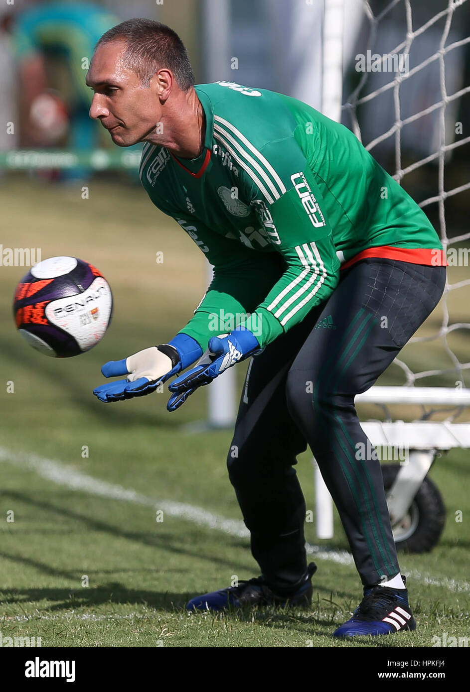 SÃO PAULO, SP - 23.02.2017: TREINO DO PALMEIRAS - The goalkeeper ...