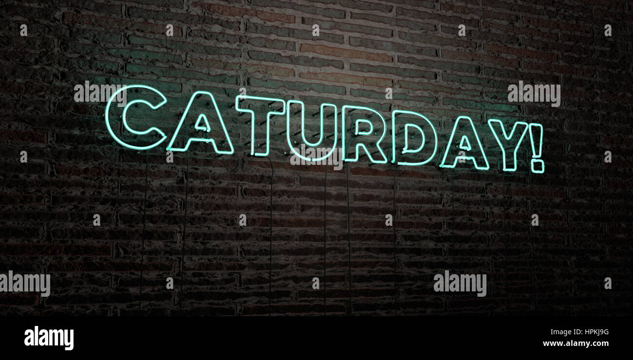 Caturday hi-res stock photography and images - Alamy
