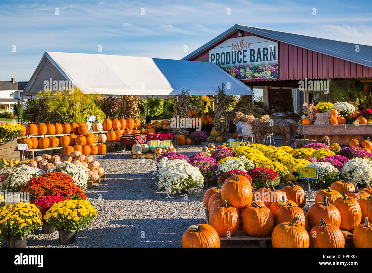 Pumpkins and fall market at Miller's Produce Barn in rural, Ohio, USA ...