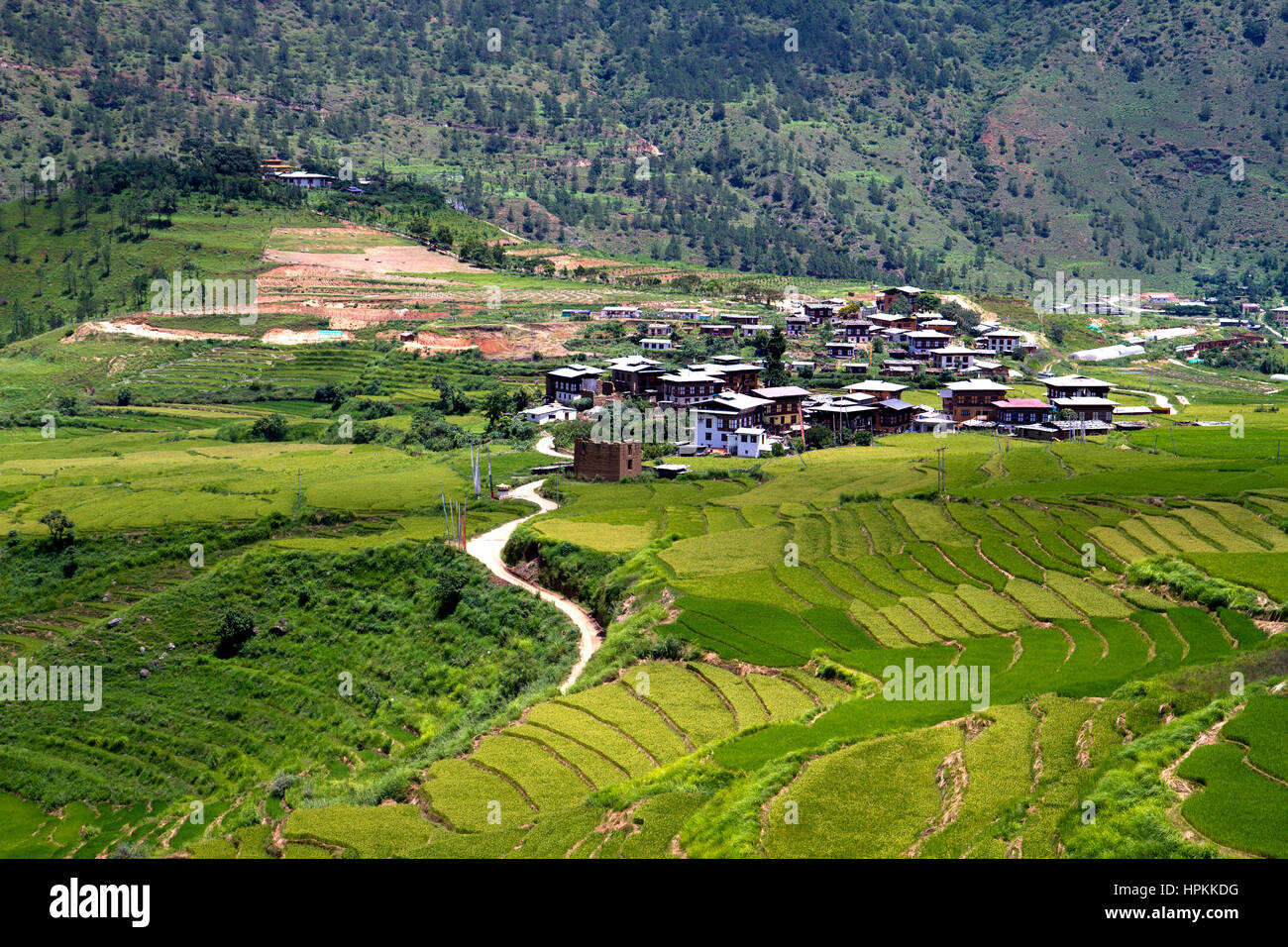 Chimi Lhakhang temple near Punakha Stock Photo - Alamy