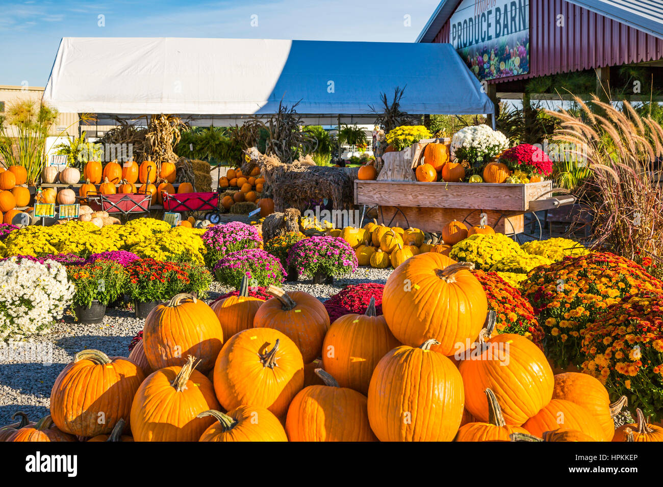 Pumpkins and fall market at Miller's Produce Barn in rural, Ohio, USA ...