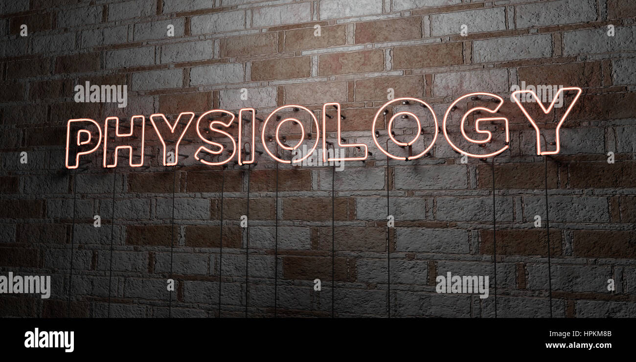 PHYSIOLOGY - Glowing Neon Sign on stonework wall - 3D rendered royalty ...
