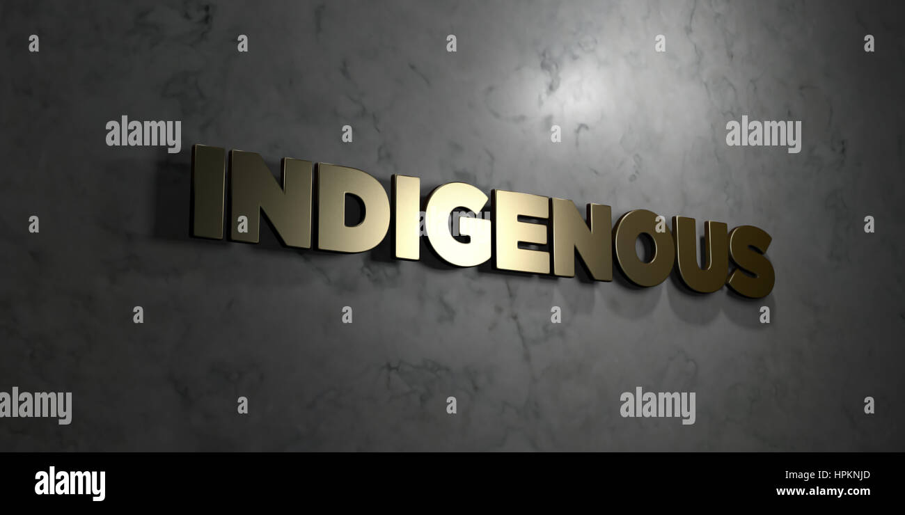 Indigenous - Gold text on black background - 3D rendered royalty free ...