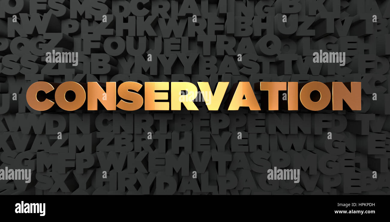 Conservation - Gold text on black background - 3D rendered royalty free ...