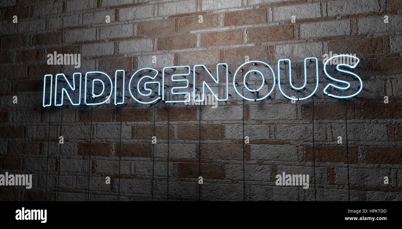 INDIGENOUS - Glowing Neon Sign on stonework wall - 3D rendered royalty ...