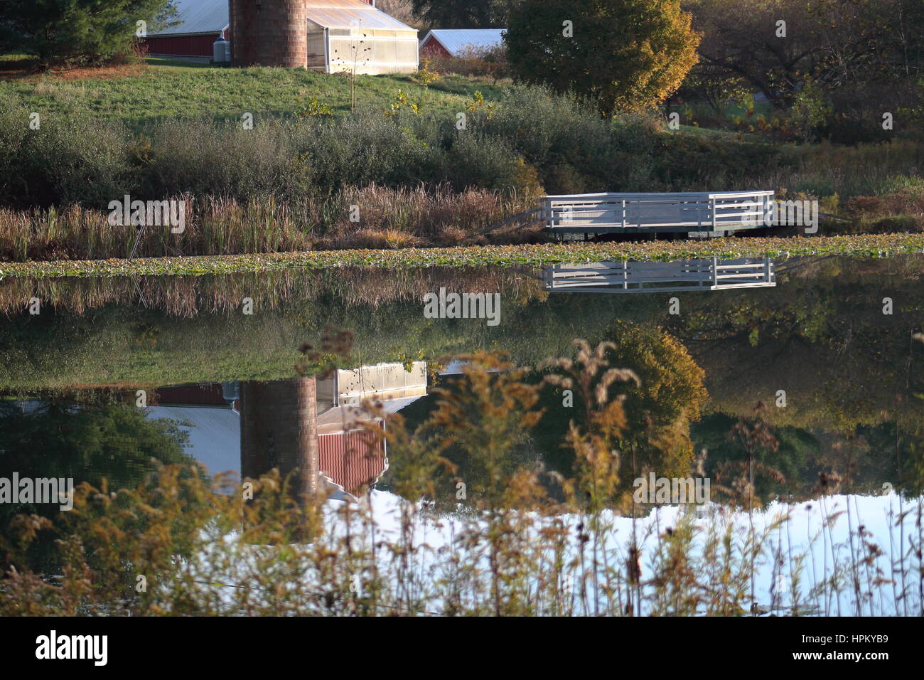 Bear branch nature center hi-res stock photography and images - Alamy