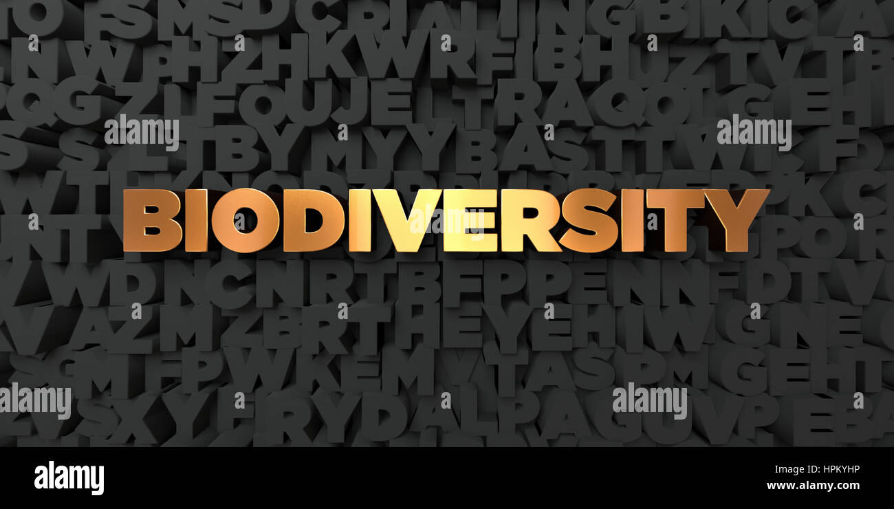 Biodiversity - Gold text on black background - 3D rendered royalty free ...