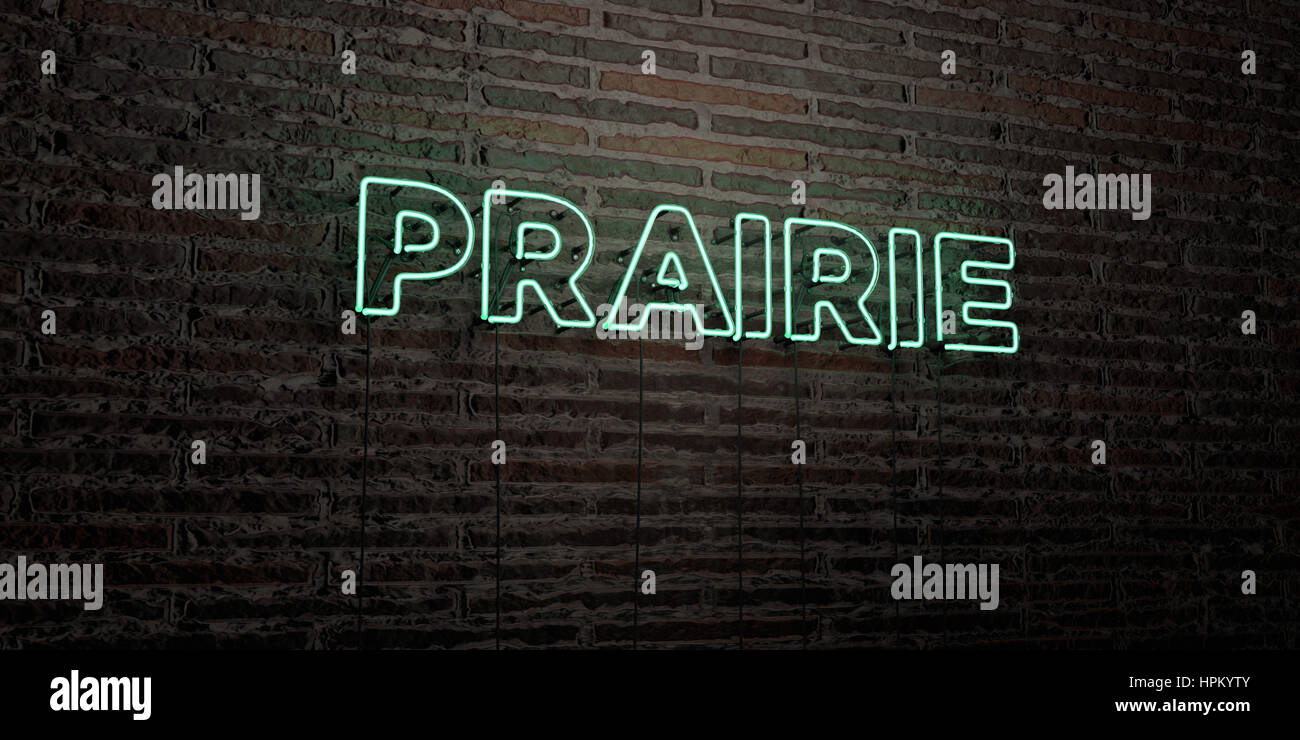 PRAIRIE -Realistic Neon Sign on Brick Wall background - 3D rendered ...