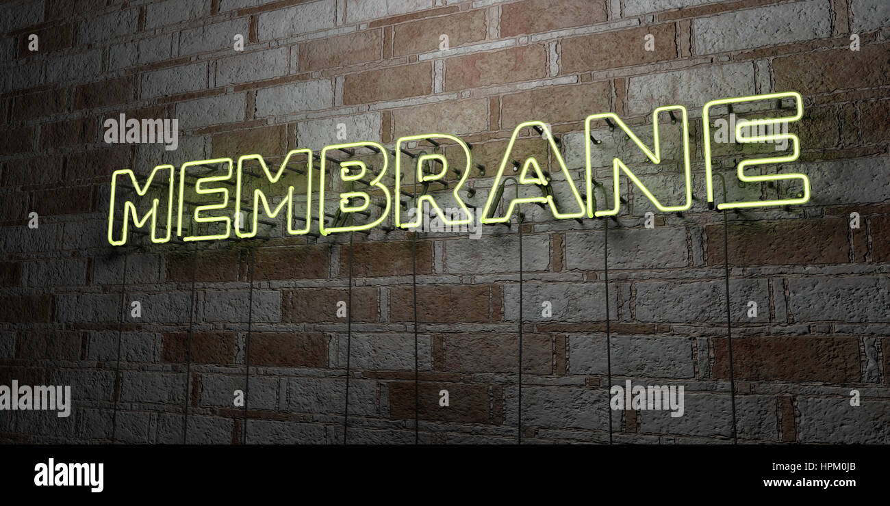 Membrane sign hi-res stock photography and images - Alamy