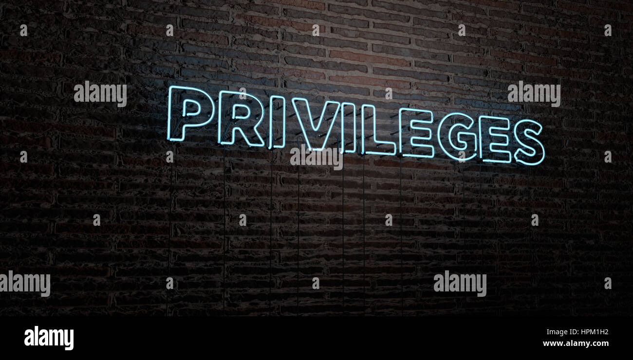 PRIVILEGES -Realistic Neon Sign on Brick Wall background - 3D rendered ...