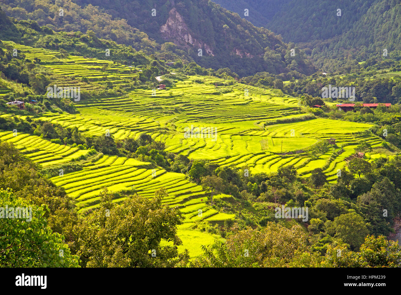 Mo chu valley hi-res stock photography and images - Alamy
